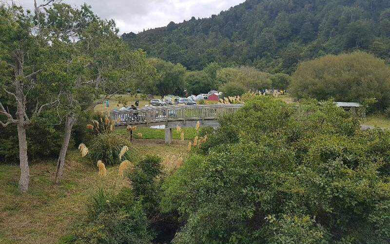Kaitoke Regional Park | Freedom/Basic Camp | New Zealand